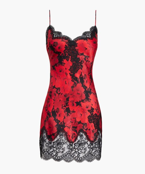 Sexy Sexy High-End Bra and Lingerie in Washington DC